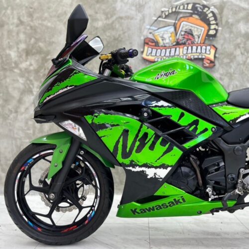 Kawasaki Ninja 300cc » Phookha Garage