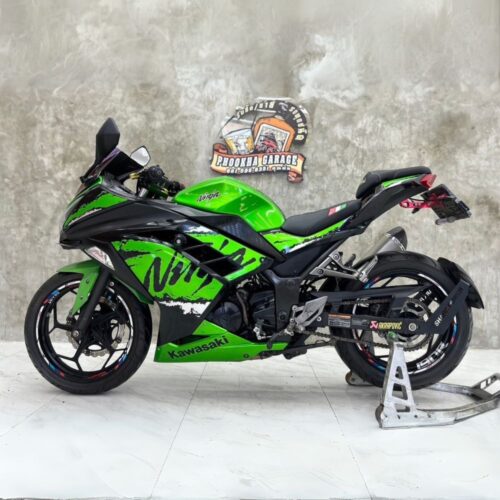 Kawasaki Ninja 300cc » Phookha Garage